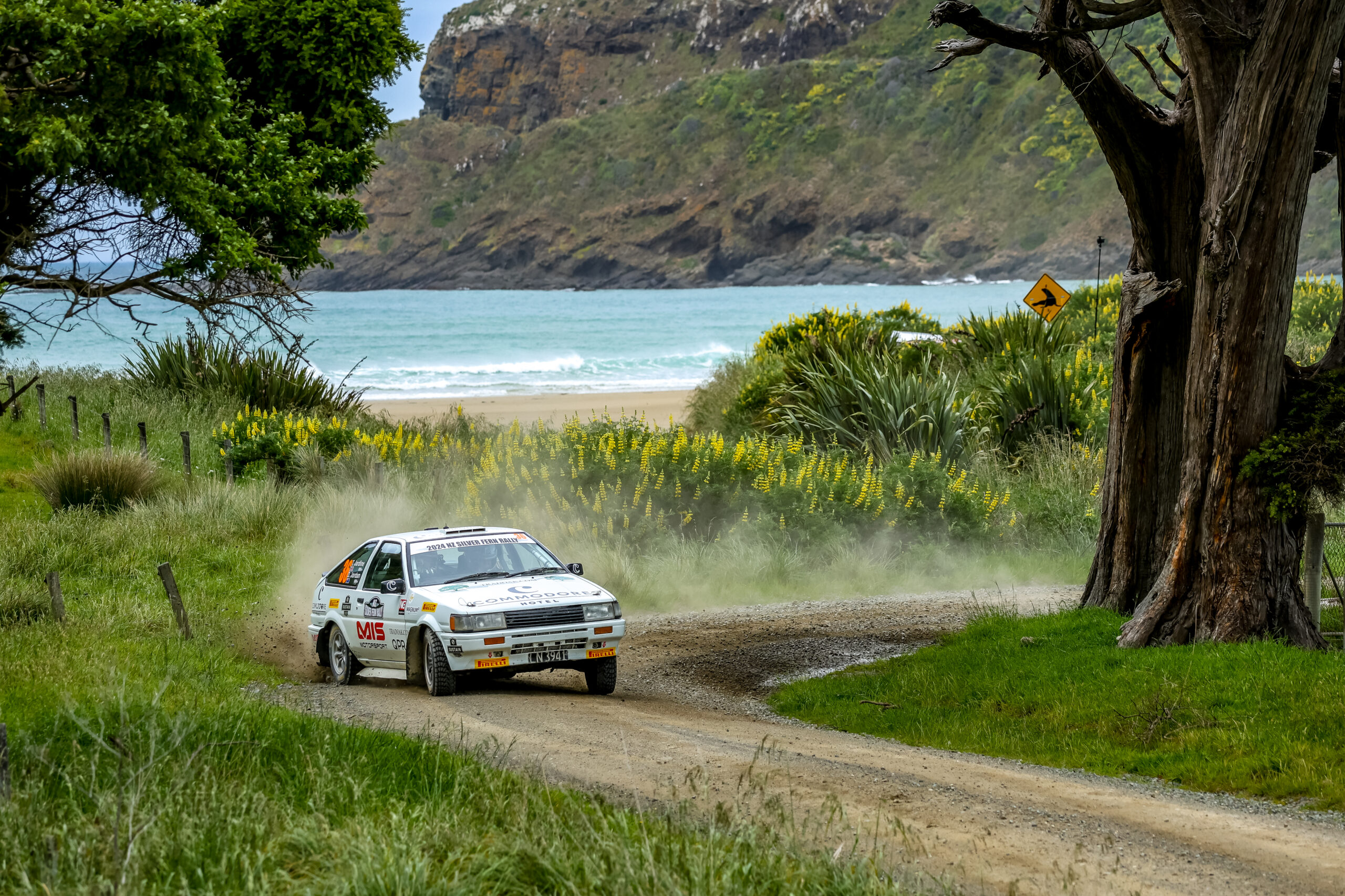 Silver Fern Rally New Zealand return is confirmed for 2026 - Magneto